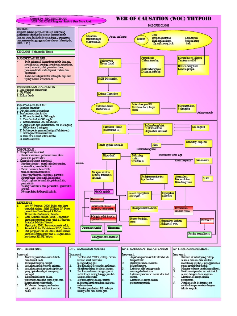 Woc Thypoid Uk | PDF