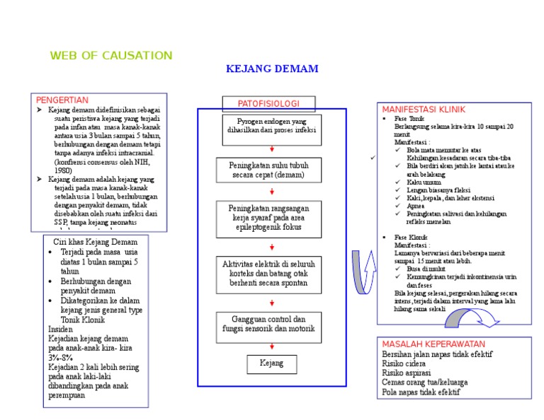 Web of Causation Kejang Demam | PDF