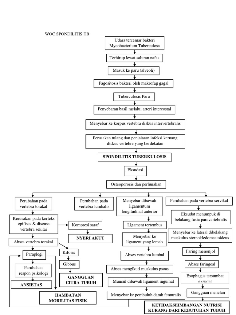 Pathway Spondilitis | PDF