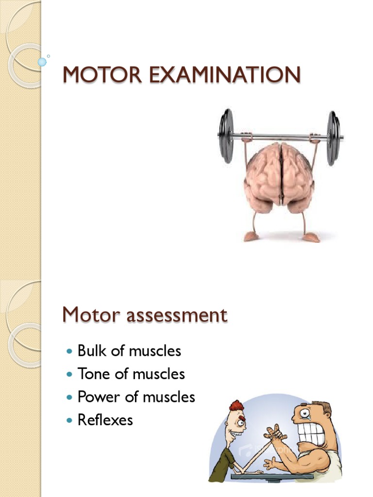 Motor Exam | PDF | Muscle | Musculoskeletal System