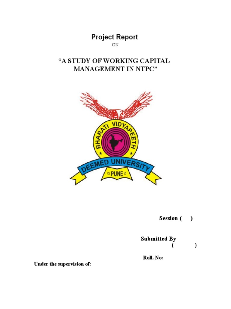 Project Report: Session Submitted by | PDF