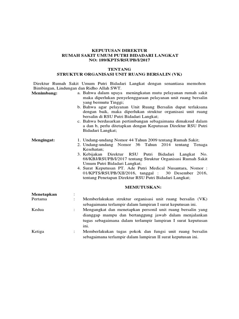 SK Struktur Organisasi Unit VK | PDF