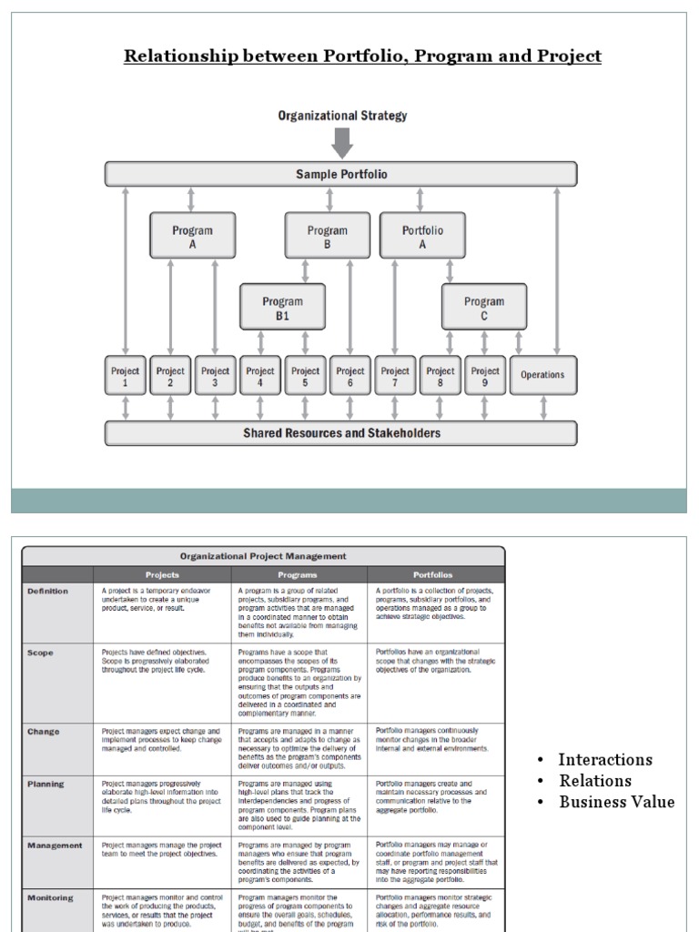Program Management | PDF | Governance | Strategic Management