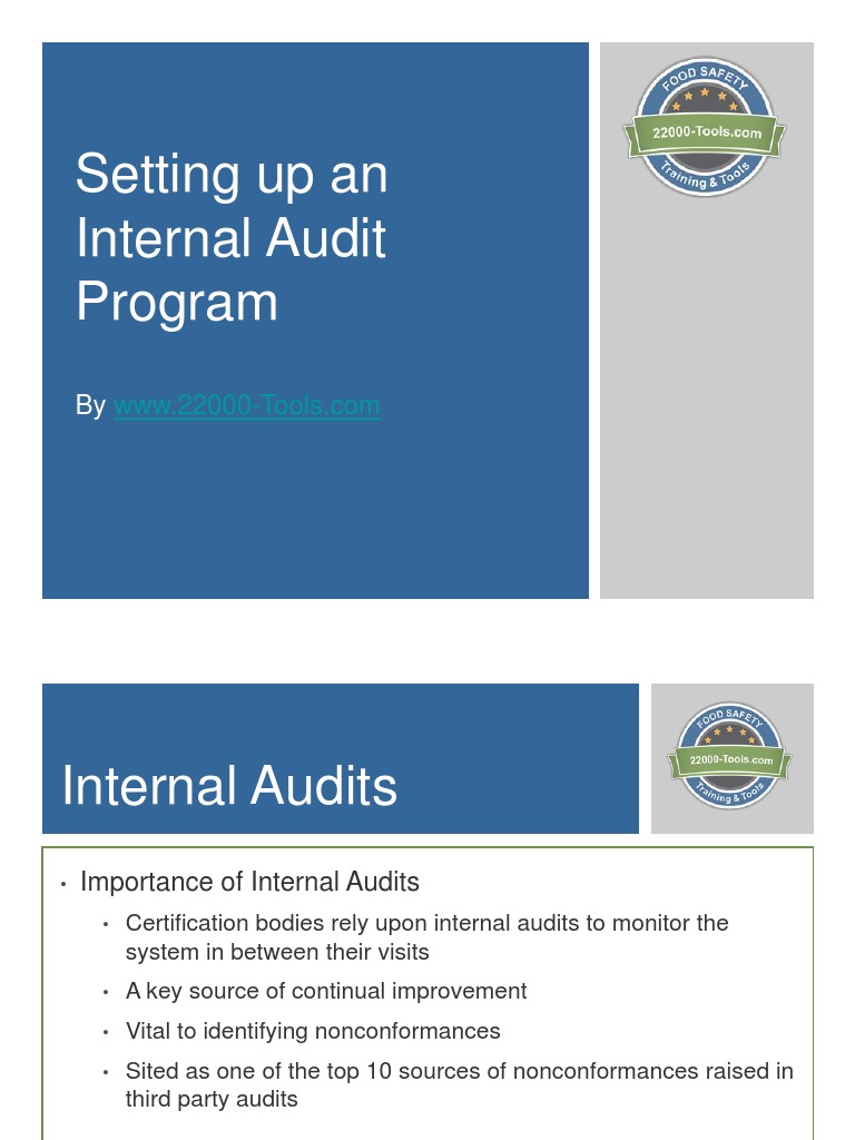 Setting Up An Internal Audit Program | PDF | Internal Audit | Audit