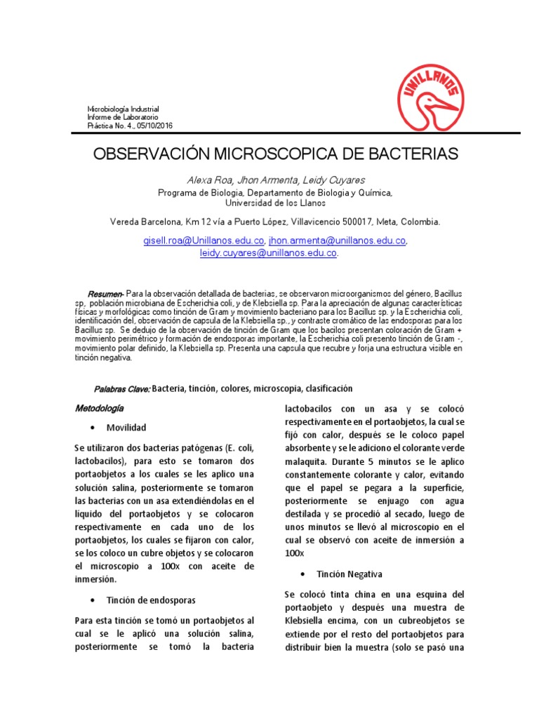 Informe 4. Observacion Microscopica de Bacterias | Tinción | Las bacterias