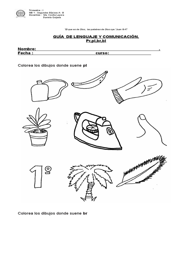 Guia BR BL PR PL | PDF