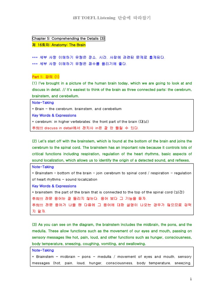 Ibtl Lec 16 PDF | PDF | Brainstem | Cerebrum