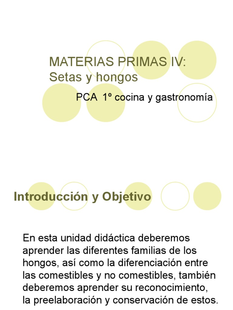 Setas y Hongos | PDF | Productos forestales no madereros | Hongos ...