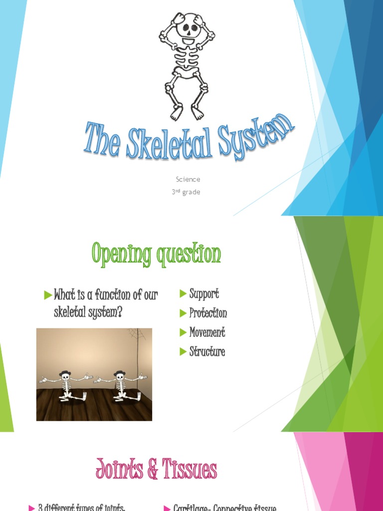 Final Skeleton | PDF