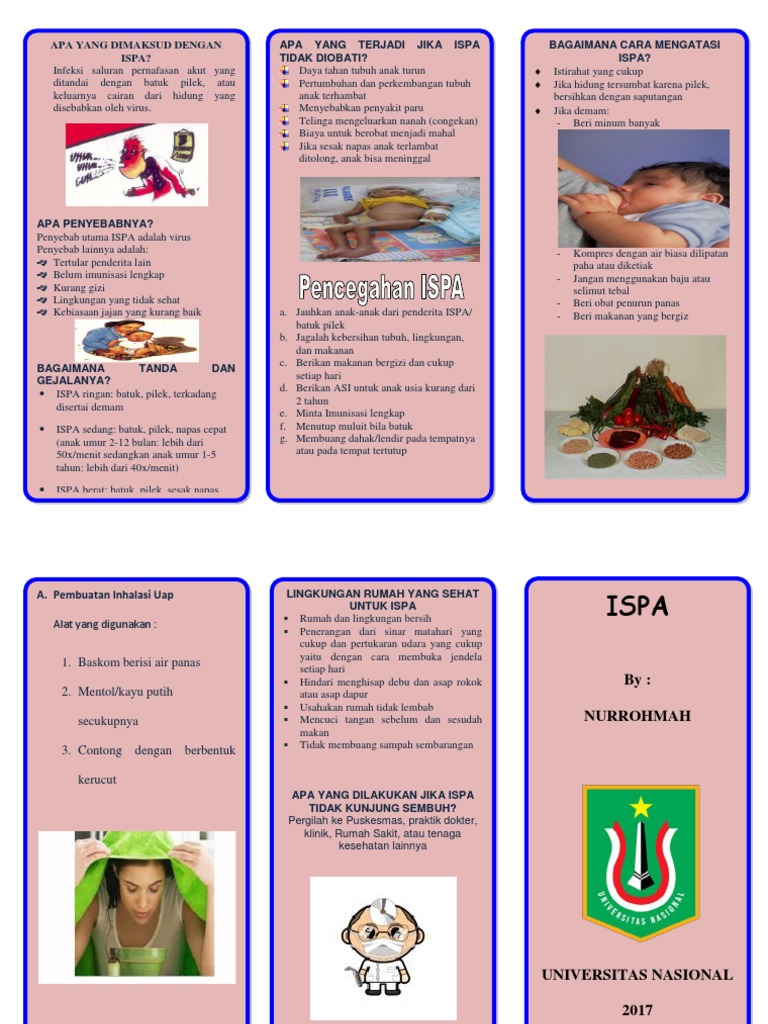 Leaflet ISPA | PDF