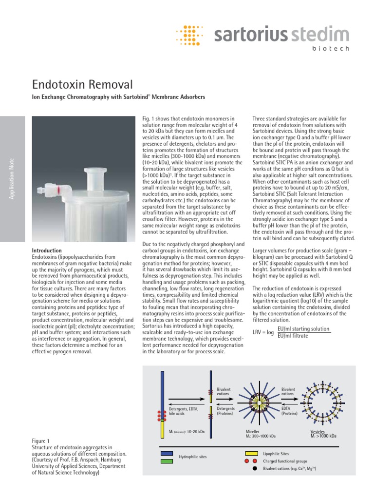 Endotoxin Removal | PDF | Chromatography | Ion Exchange