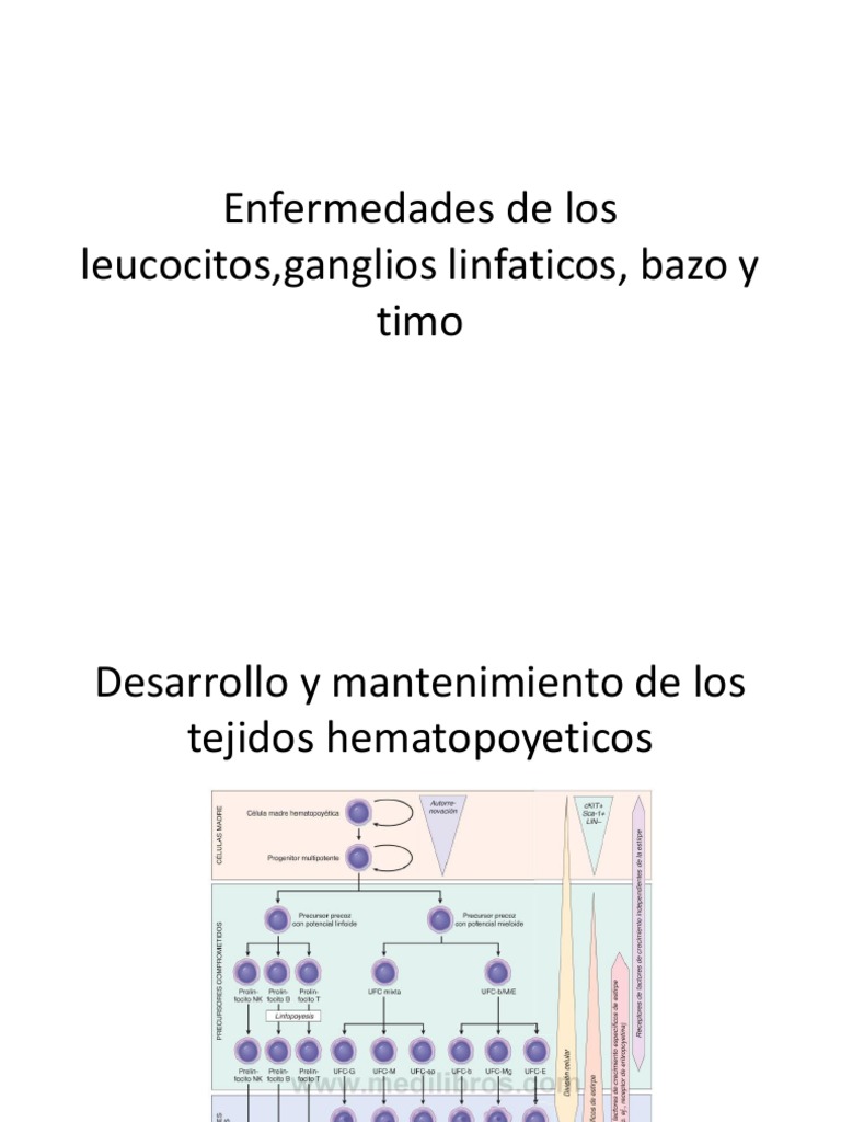 Enfermedades de Los Leucocitos, Ganglios Linfaticos, Bazo y | PDF | Leucocito | Mieloma múltiple