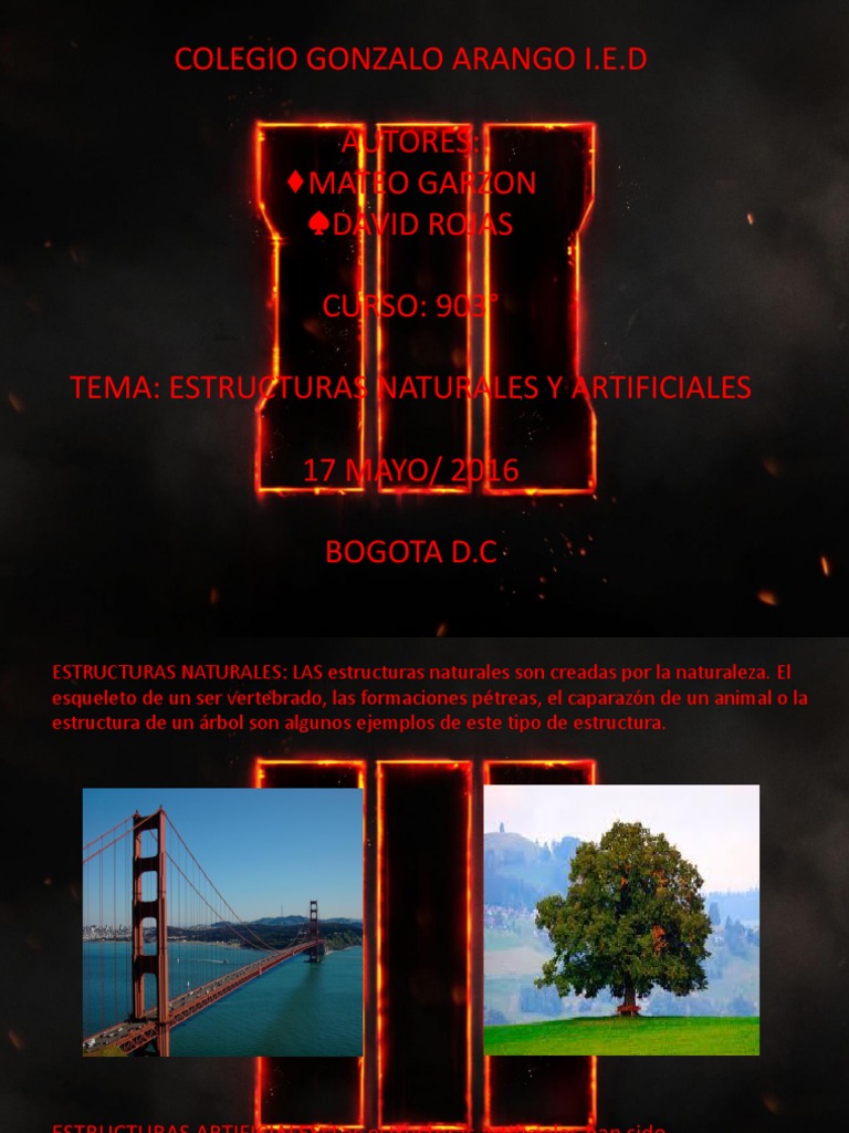 Estructuras Naturales y Articiales | PDF | Diseño arquitectonico ...