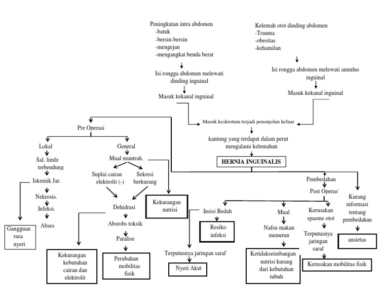Pathway Hil New | PDF
