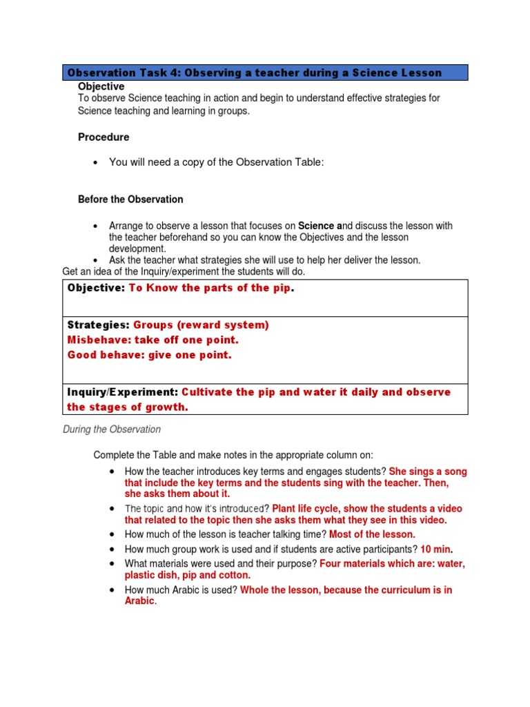 Observation Task 4 | PDF | Career & Growth | Language Arts & Discipline