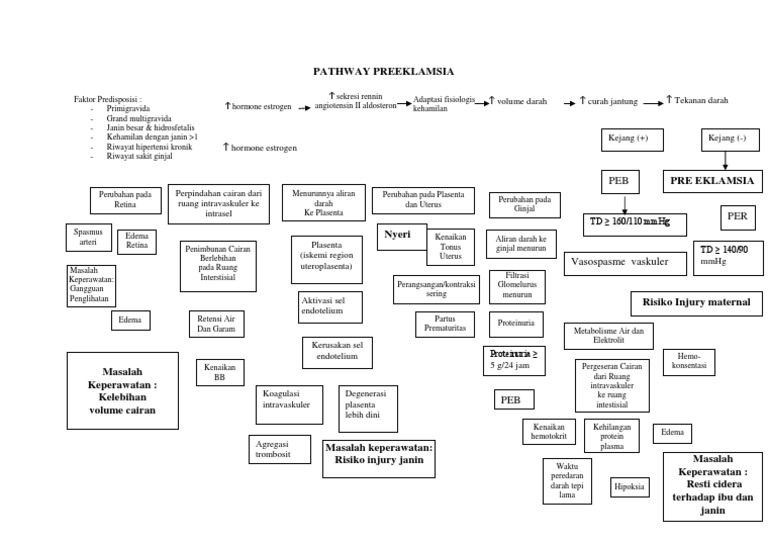 Pathway Preeklamsia | PDF