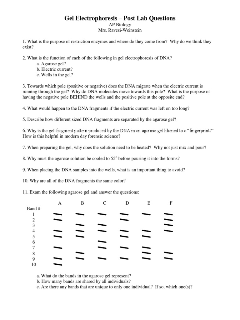 AP Biology Gel Electrophoresis Guide | PDF