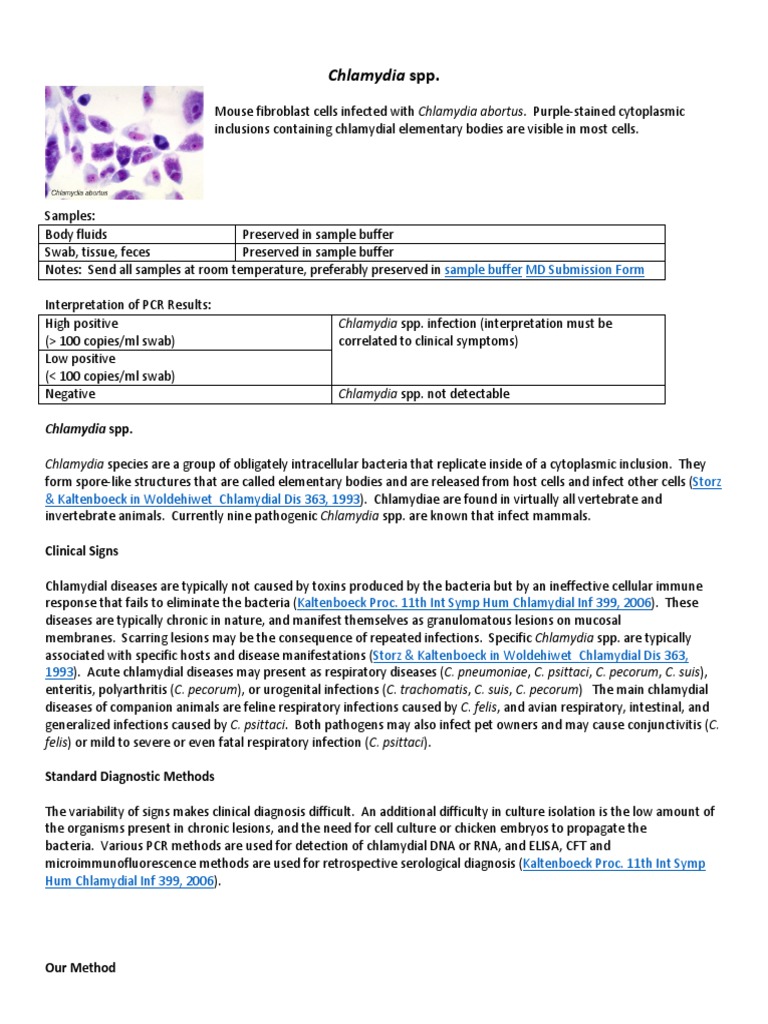 Chlamydia | PDF | Infection | Life Sciences