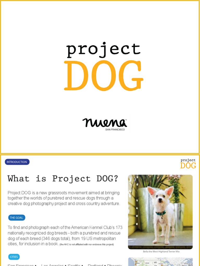 About Project DOG | PDF | Dogs | Pet
