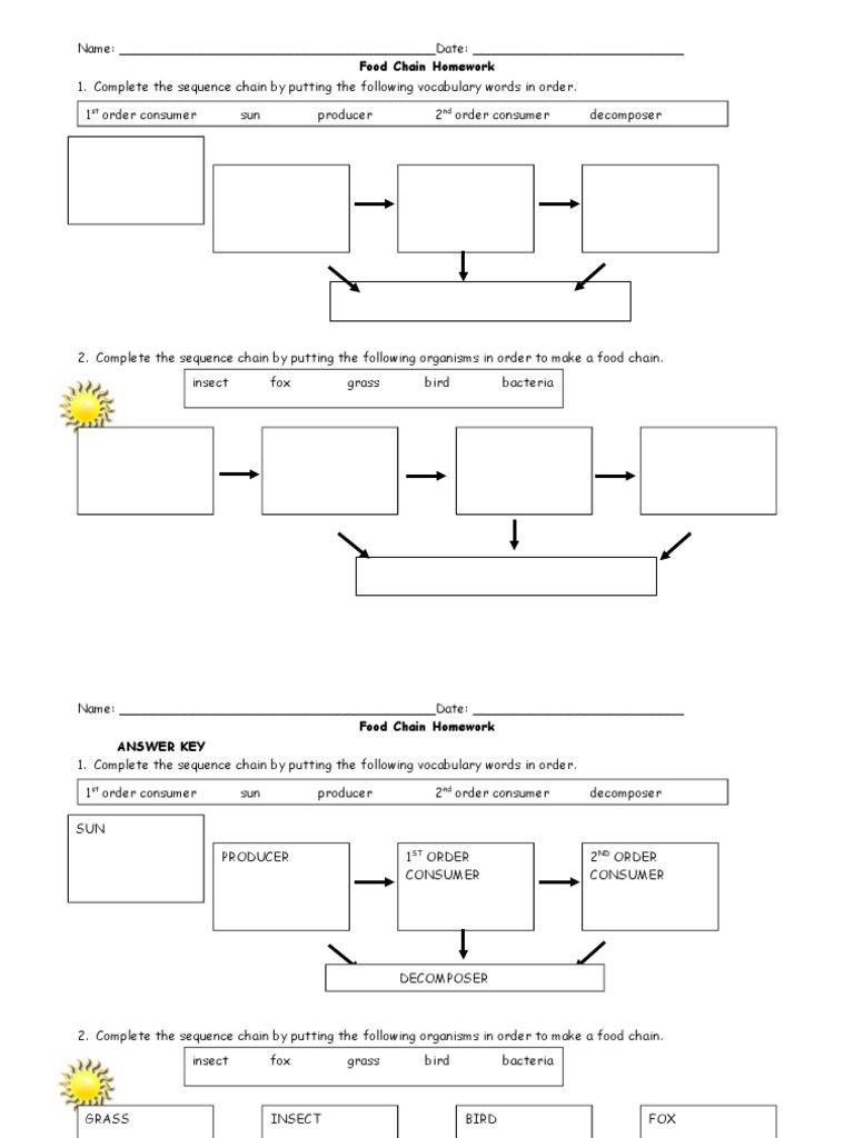 Foodchain Worksheet | PDF