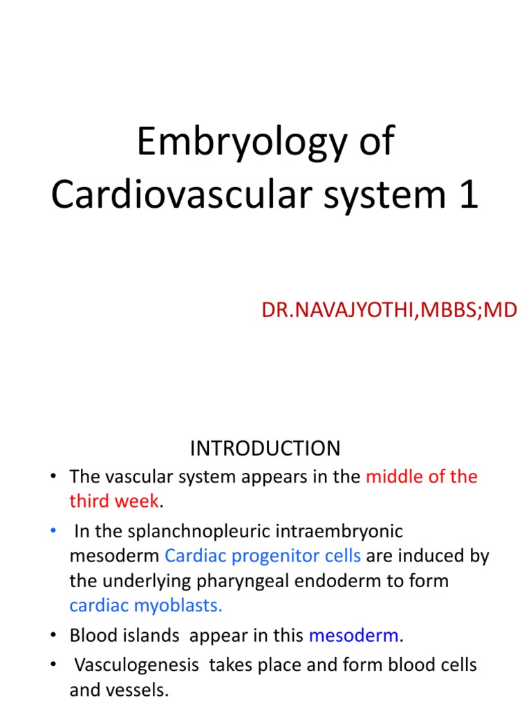 Embryology of Cardiovascular System 1: DR - Navajyothi, Mbbs MD | PDF ...