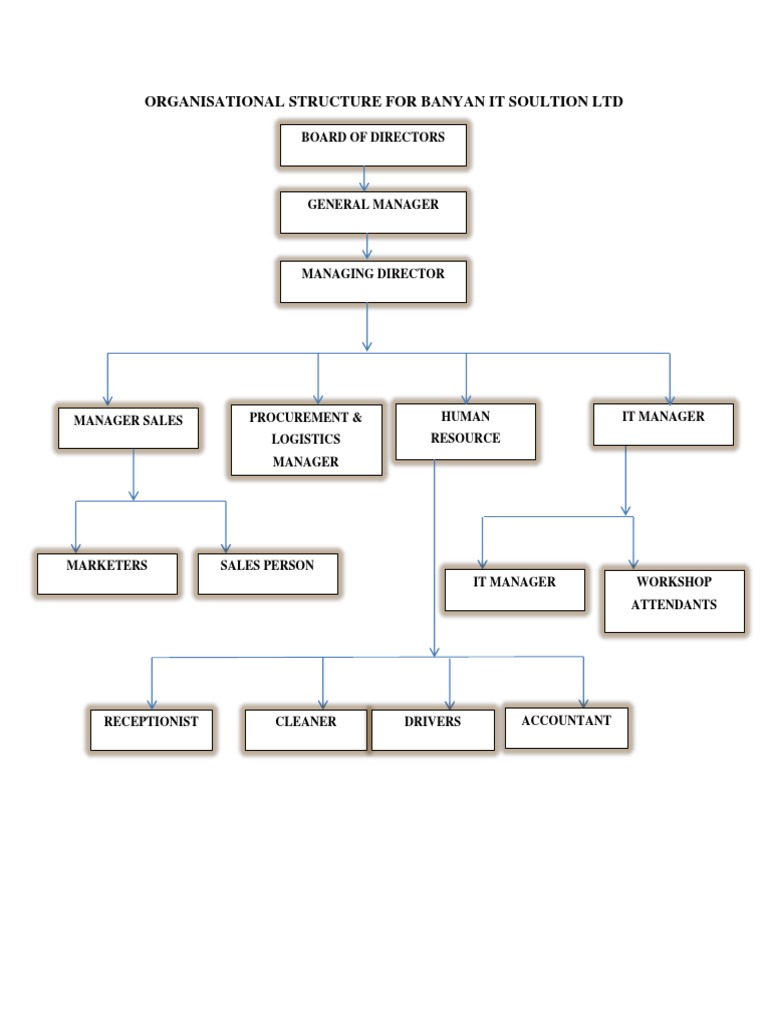 Banyan It Solution Organogram | PDF