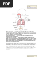 Nursing Care Plan For Pneumonia | PDF | Respiratory Tract | Pneumonia