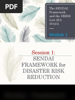 3 - Introduction To DRRMIS | PDF | Information Science | Software