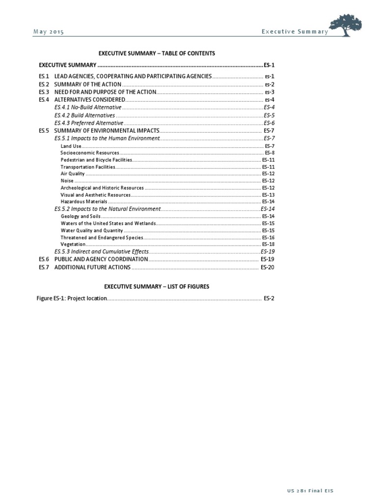 4 - Executive Summary | PDF | Traffic | Controlled Access Highway