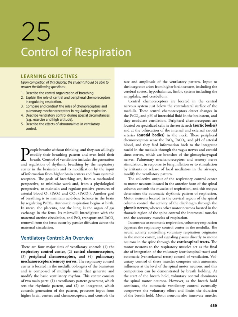 Control of Respiration Physiology | PDF | Breathing | Respiratory System