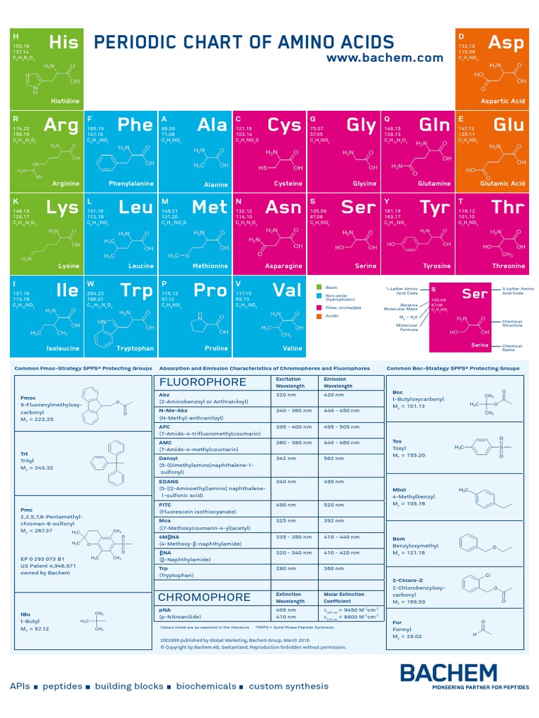 Periodic Chart Amino Acids | PDF | Cysteine | Amino Acid Periodic Chart Amino Acids | PDF | Cysteine | Amino Acid