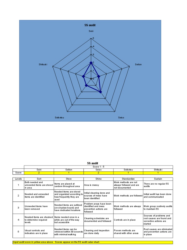 5S Audit Sheet | Business | Computing And Information Technology
