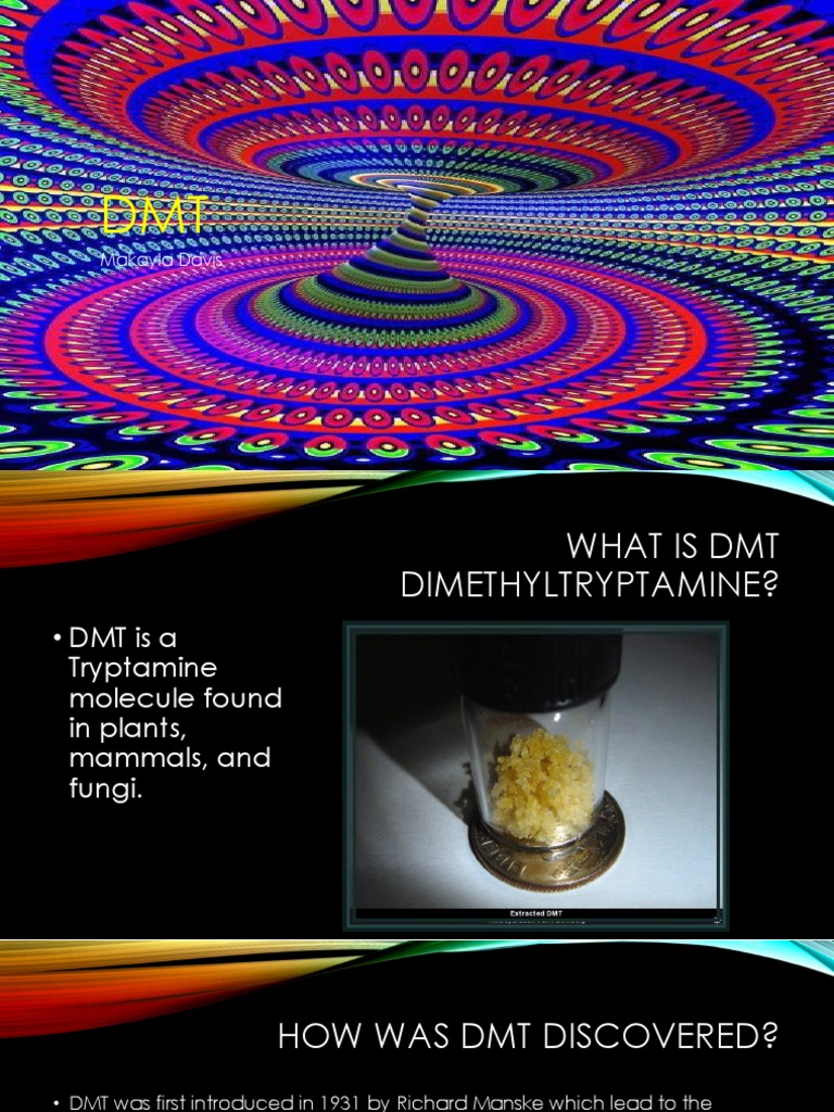 dmt powerpoint | Psychedelic Drugs | Hallucinogen