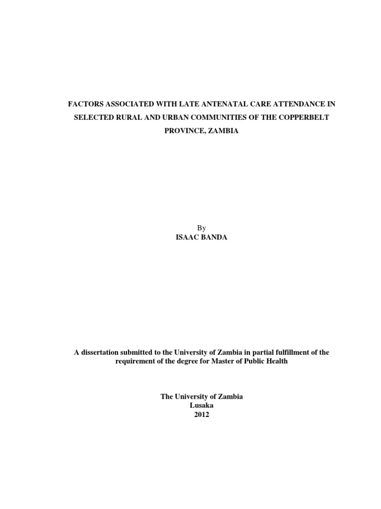 Isaac Banda-MPH 2012 Dissertation | PDF | Maternal Death | Pregnancy