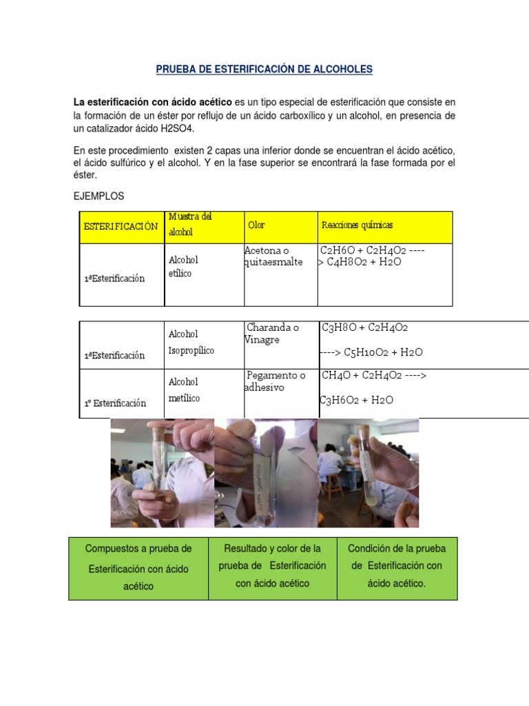 Cartelera De Prueba De Esterificación De Alcoholes Pdf