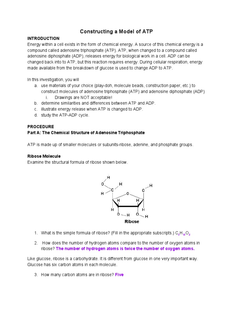 constructing a model of atp | Molecular Biophysics | Earth & Life Sciences