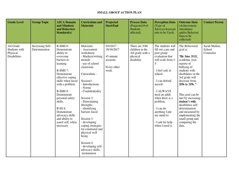 Small Group Action Plan 1 | PDF | School Counselor | Disability