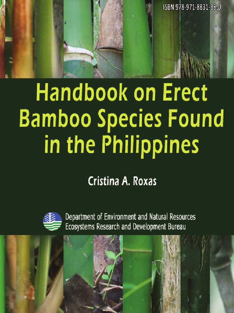 Handbook Bamboo Species | Bamboo | Plants