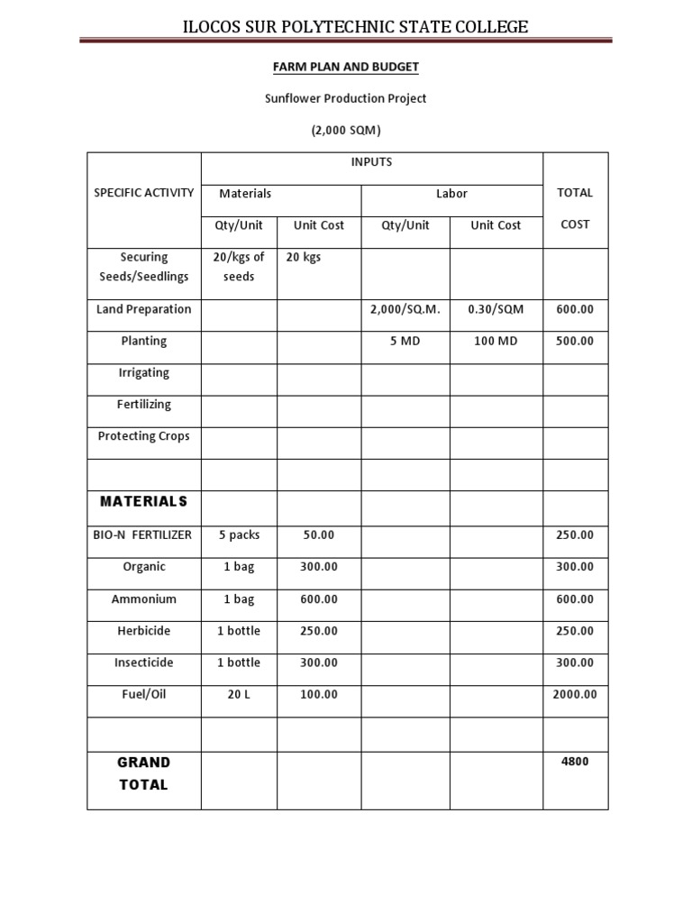 Sunflower Production Budget Plan | PDF | Peanuts | Marketing Strategy