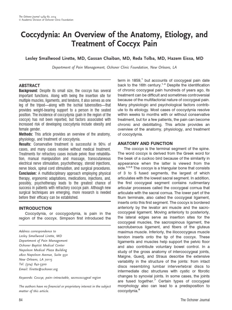 Coccydynia - An Overview of The Anatomy, Etiology, and Treatment of ...