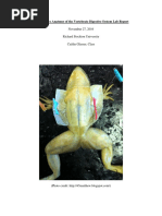 Elephant GI Anatomy & Physiology | PDF | Gastrointestinal Tract | Digestion