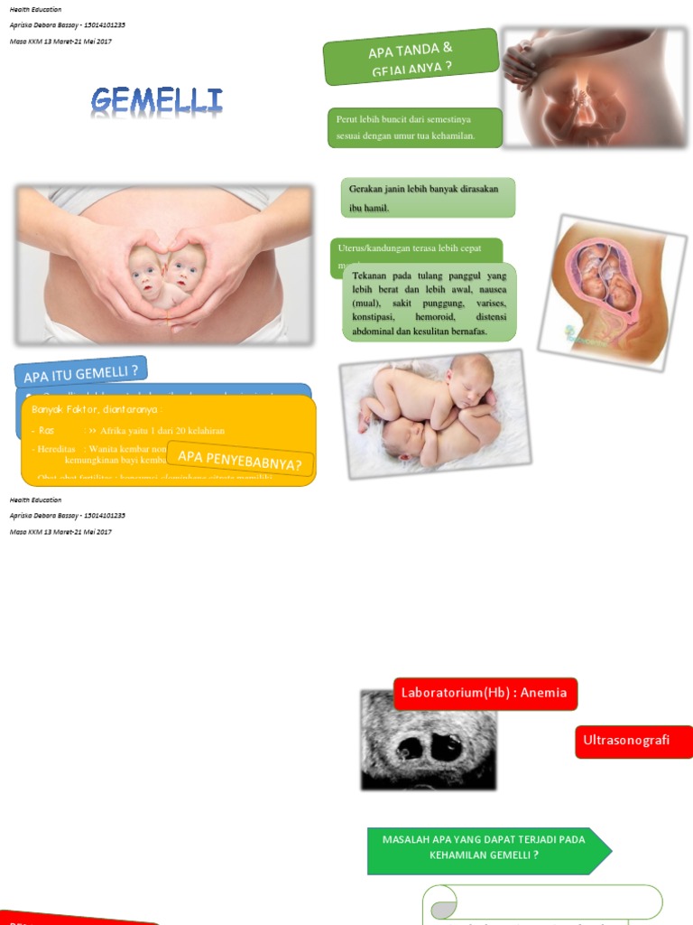 Leaflet HE Gemelli | PDF