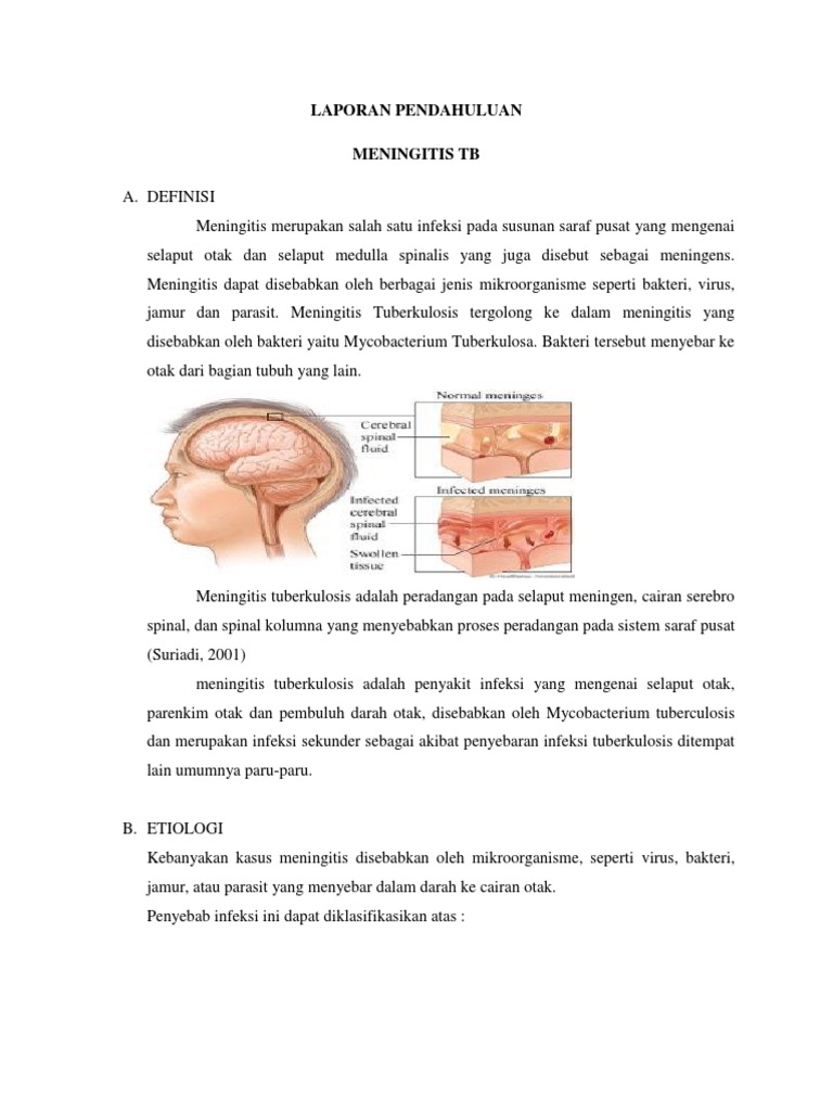 LP Meningitis TB | PDF | Kesehatan Holistik