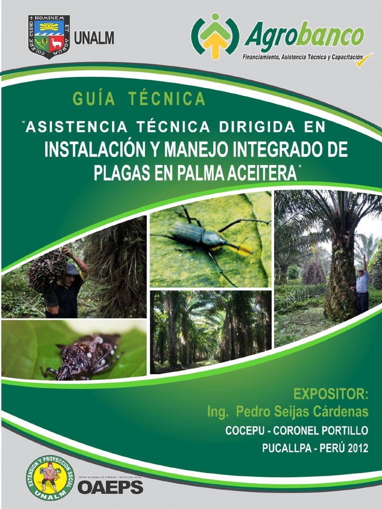 30 A Palma Aceitera | PDF | Insectos beneficiosos | Plaga (organismo)