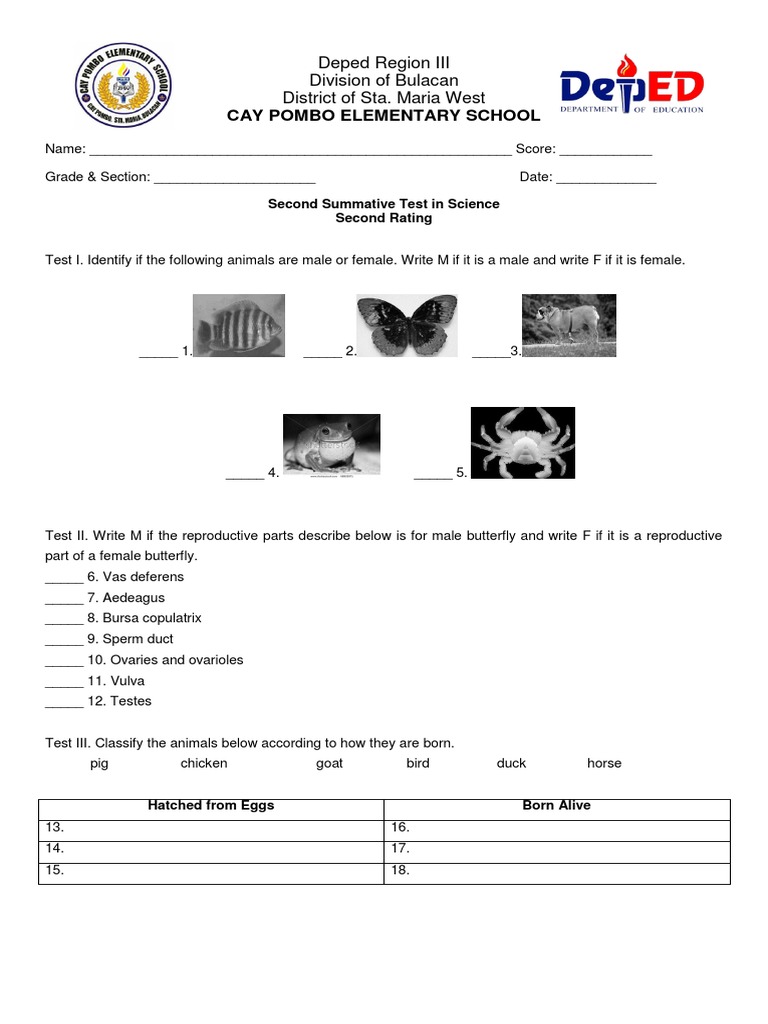 2nd Summative Test in Science 2nd Rating | PDF | Puberty | Ice