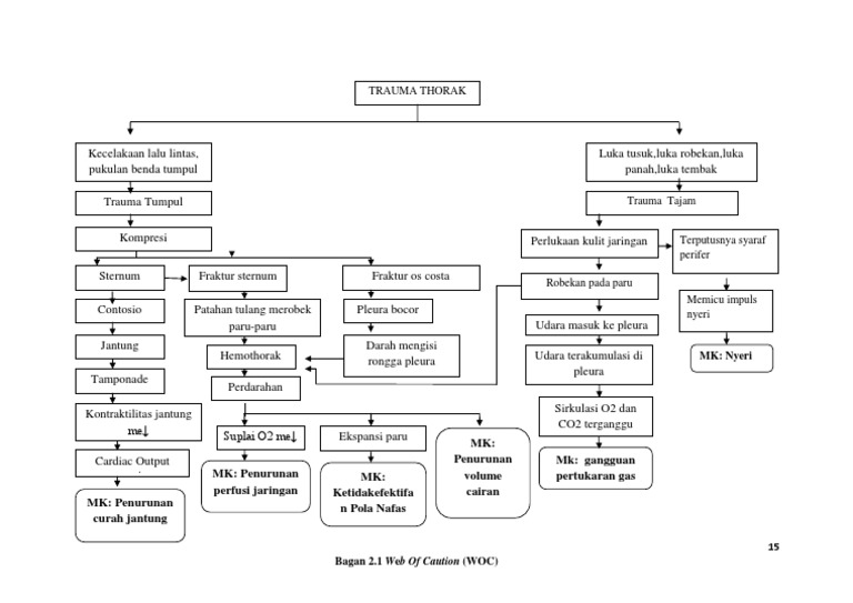 WOC Trauma Thorak | PDF