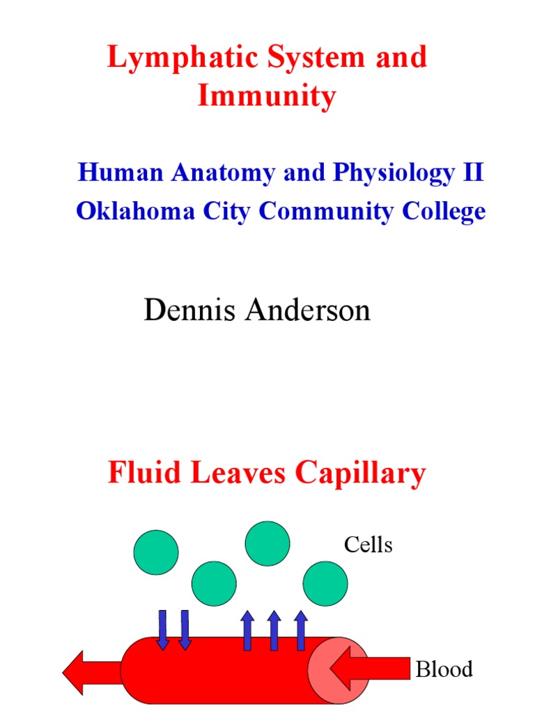 Lymphatic System and Immunity Overview | PDF | Lymphatic System | Antigen