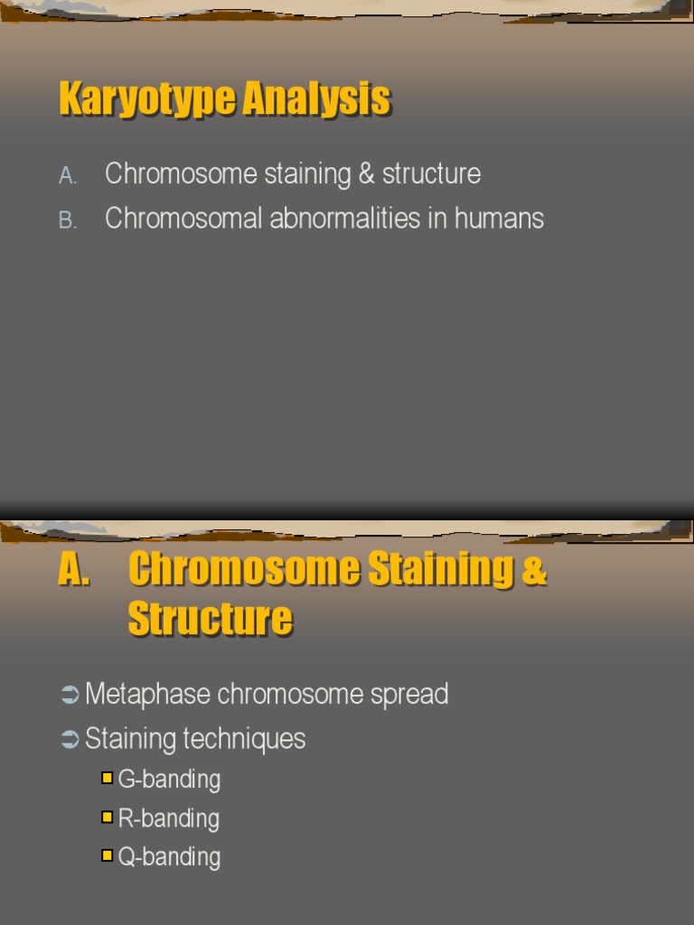 Karyotype Analysis: Chromosome Staining & Structure Chromosomal ...