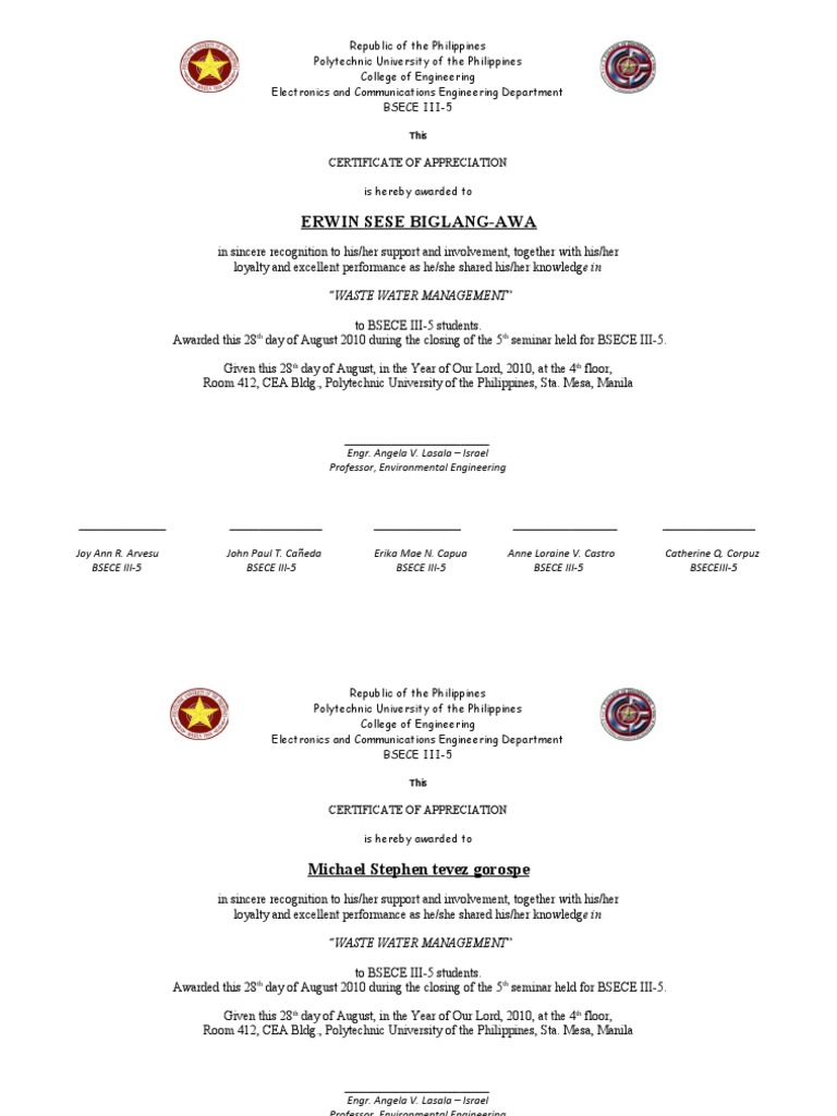 Erwin Sese Biglang-Awa: Certificate of Appreciation | PDF | Science And Technology | Academia