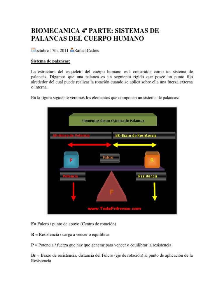 BIOMECANICA Sistema de Palancas | PDF | Palanca | Codo